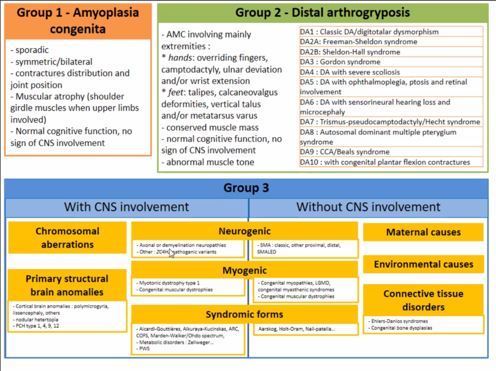 Comprendre l'Arthrogrypose et les arthrogryposes - Association Alliance ...